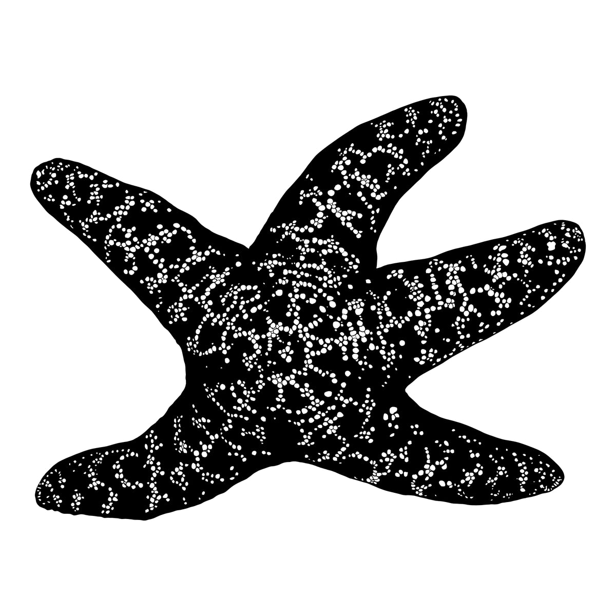 Sea star Starfish Seastar Starfish – Salty Raven