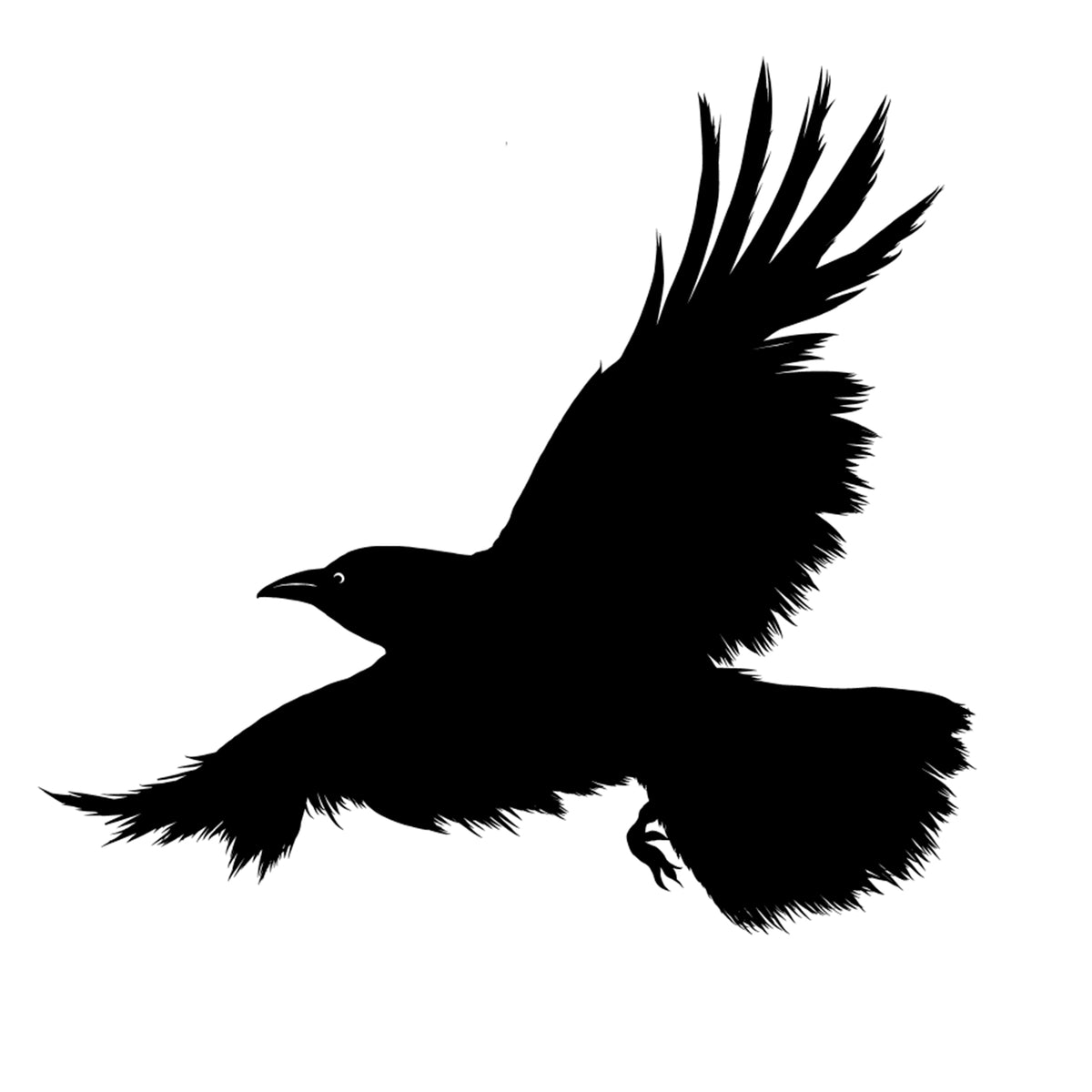 Raven Series Flying Raven – Salty Raven