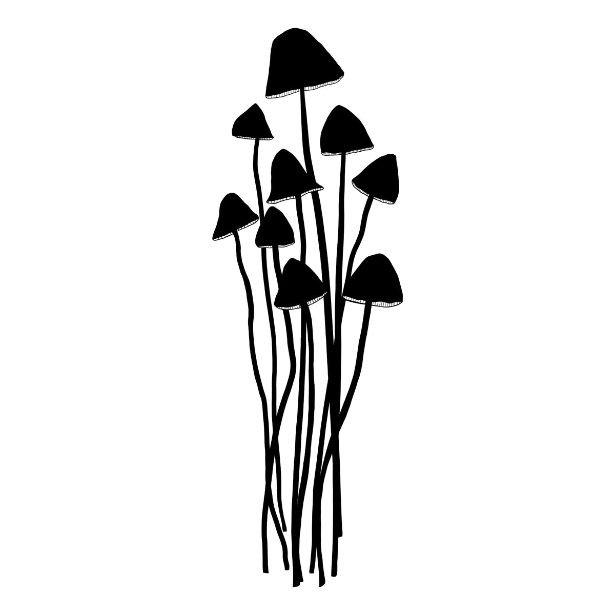 Mushroom Series Mushroom Caps – Salty Raven