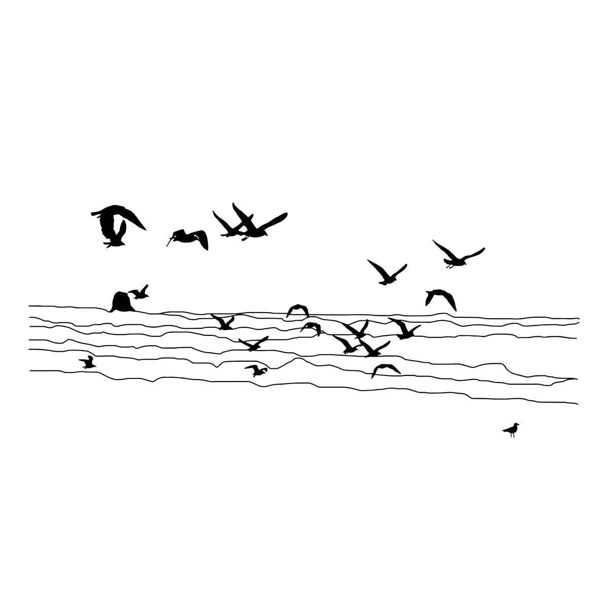 Landscape Series Seagull Beach – Salty Raven