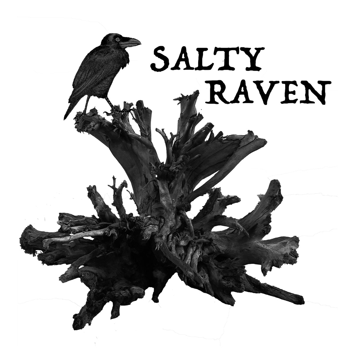 Salty Raven Brand