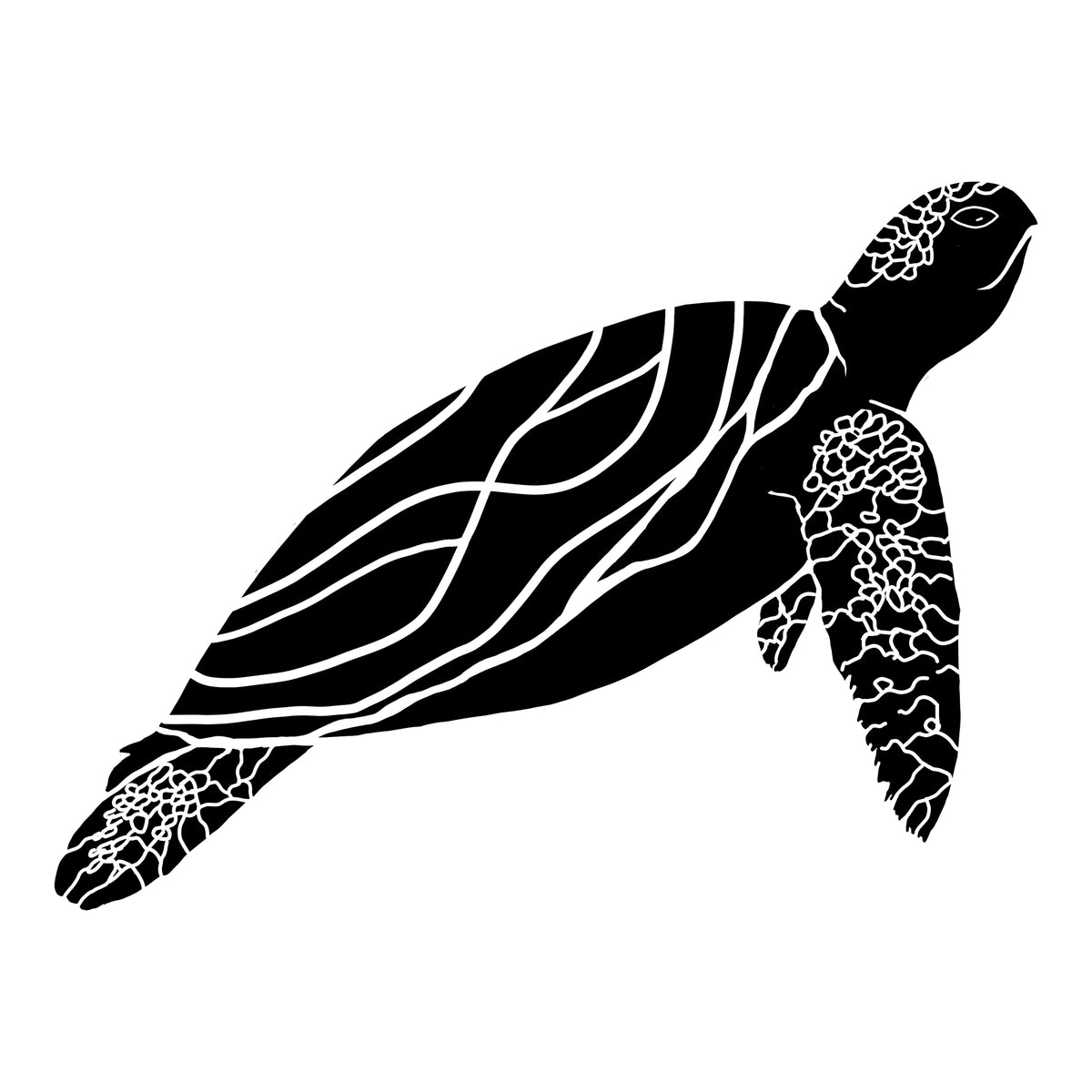 Sea life Series Sea Turtle – Salty Raven