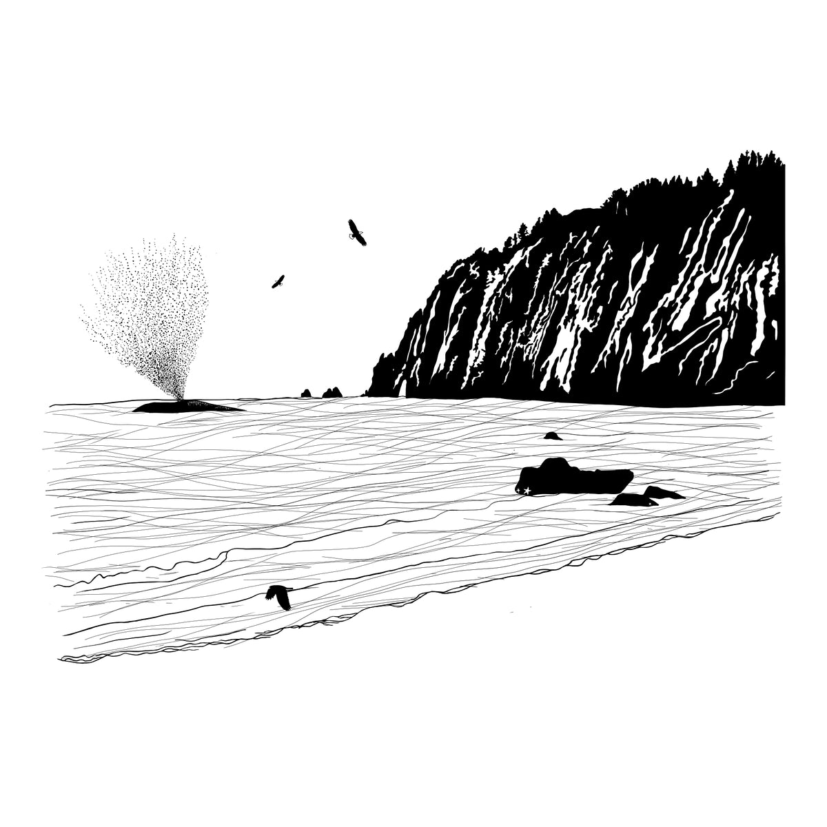 Landscape Series Whale Sighting – Salty Raven