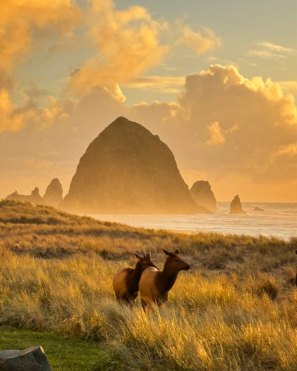 Haystack Couple Original Photography Paper Prints & Framed Metal Print ...