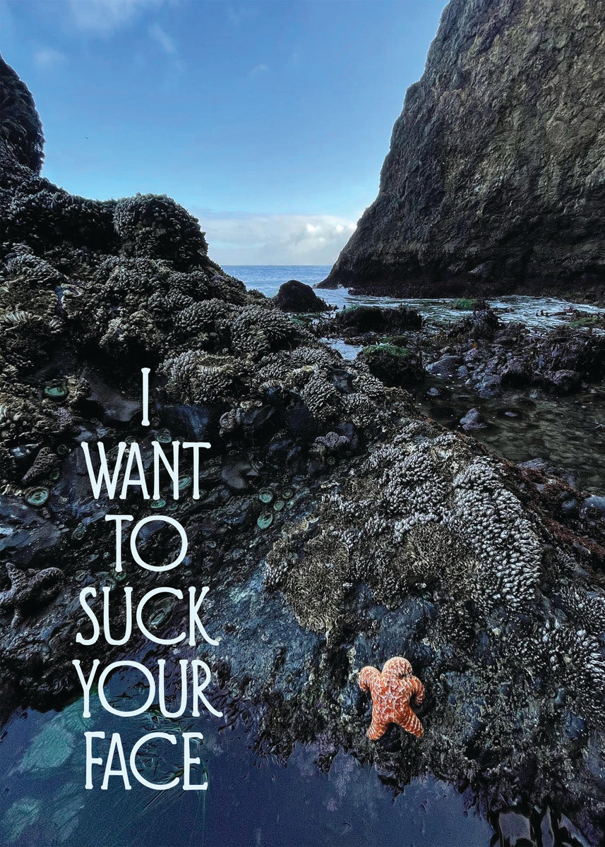 I Want To Suck Your Face *Limited Edition* Funny Everyday Blank Greeti ...